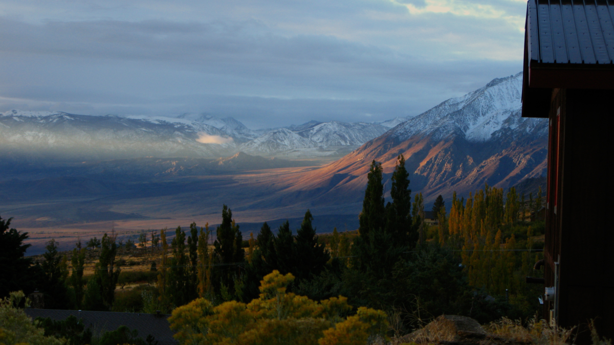 Eric L Berlow: – Ecology, Complex Networks, Data Science